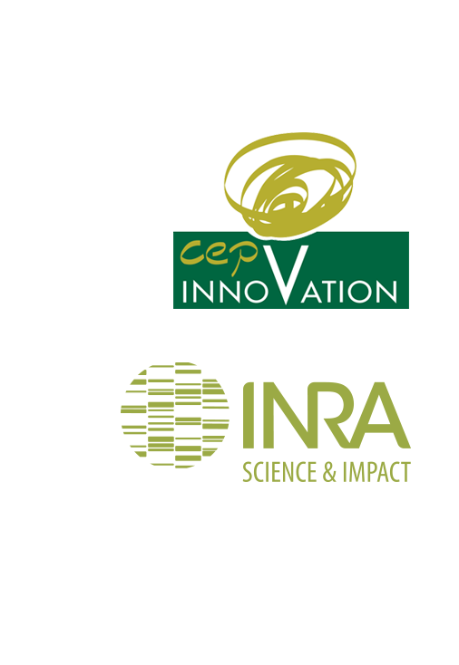 CEP INNOVATION - Créateur de variétés fruitières